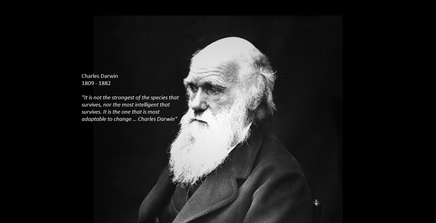 Transformational Thinking – The Darwin Matrix – IORMA | Consumer ...